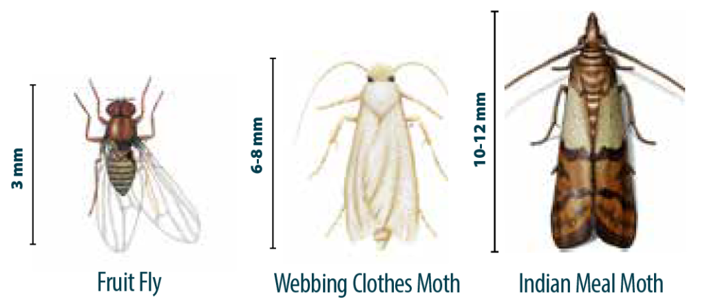 BY Demi Diamond & Pheromones - PestWest LLC USA