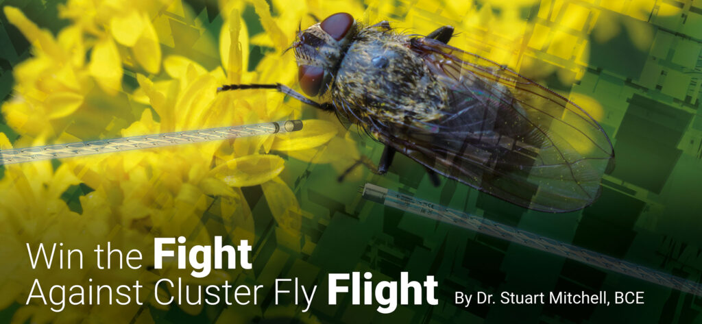 Win the Fight Against Cluster Fly Flight - PestWest LLC USA